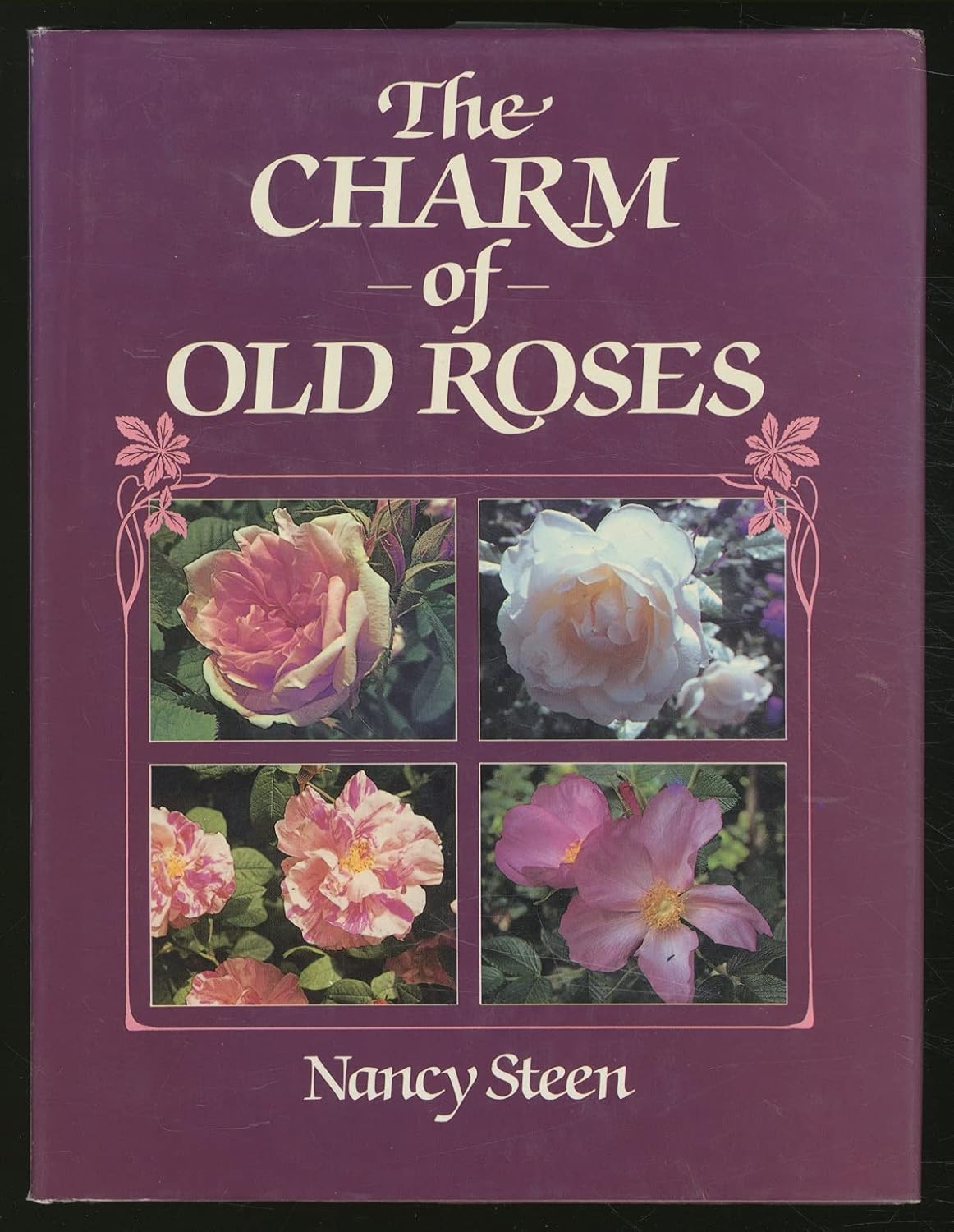 Charm of Old Roses: Amazon.co.uk: Steen, Nancy: 9780941569002: Books