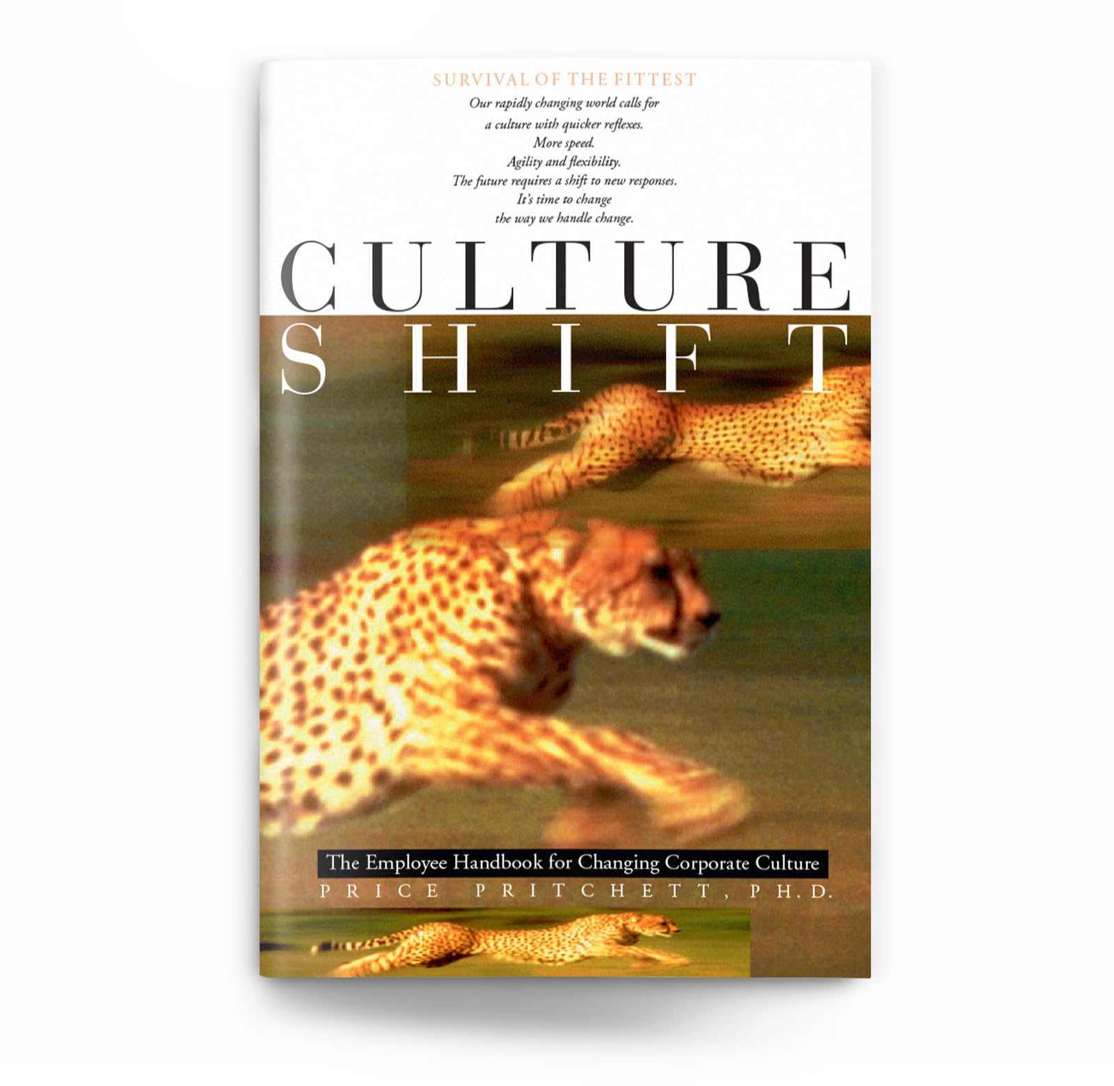 Culture Shift: The Employee Handbook for Changing Corporate Culture ...