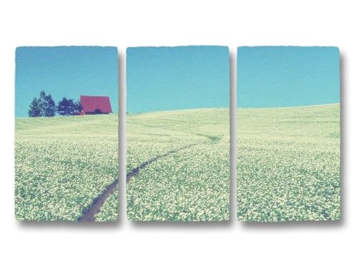 Amazon Artwork Red House And White Flower Garden X3c Art Panel Printed On Japanese amazon-artwork-red-house-and-white-flower-garden-x3c-art-panel-printed-on-japanese