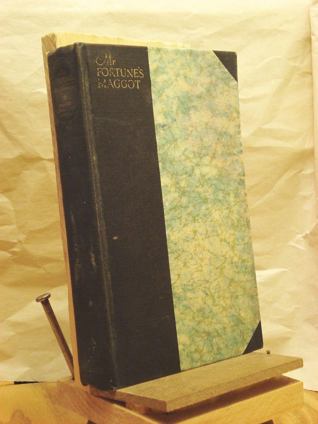 Mr Fortune's Maggot: Books - Amazon.ca