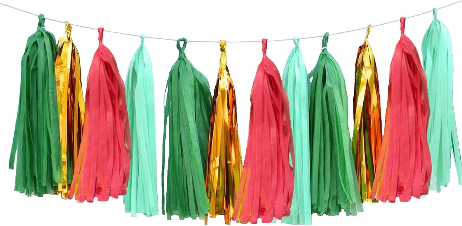 Amazon.com: TSJ Tassel Garland Tassel Streamers Paper Party Banner ...