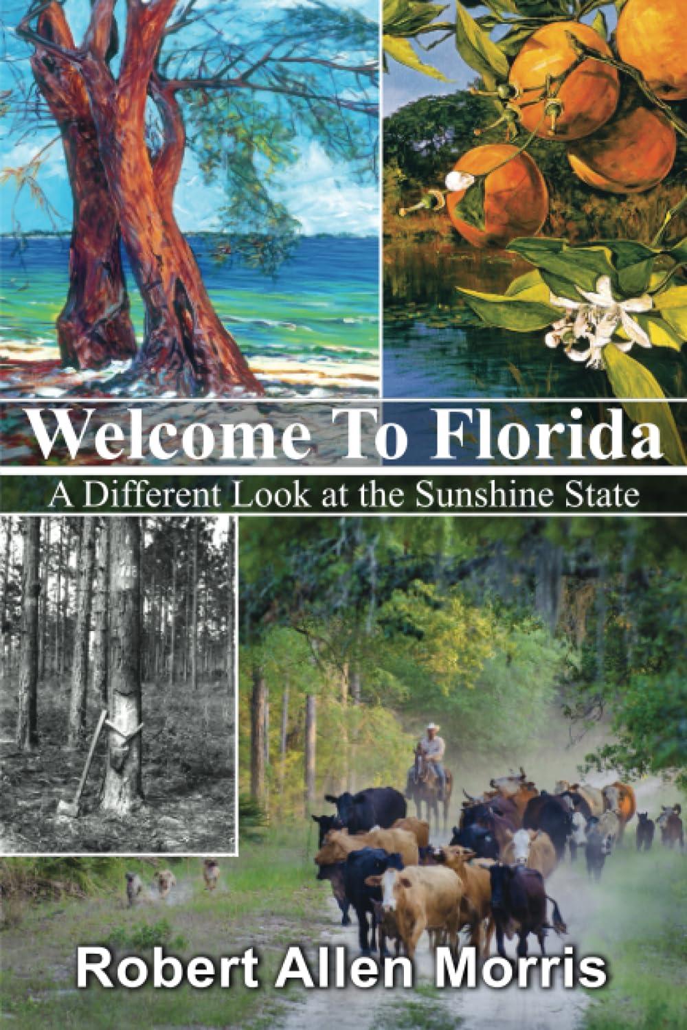 Welcome to Florida: A different Look at the Sunshine State: Morris ...