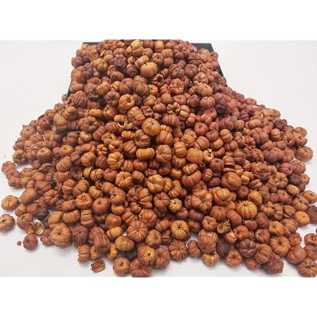 Amazon.com: Mini Orange Putka Pods (Pumpkin Pods) for Potpourri and ...