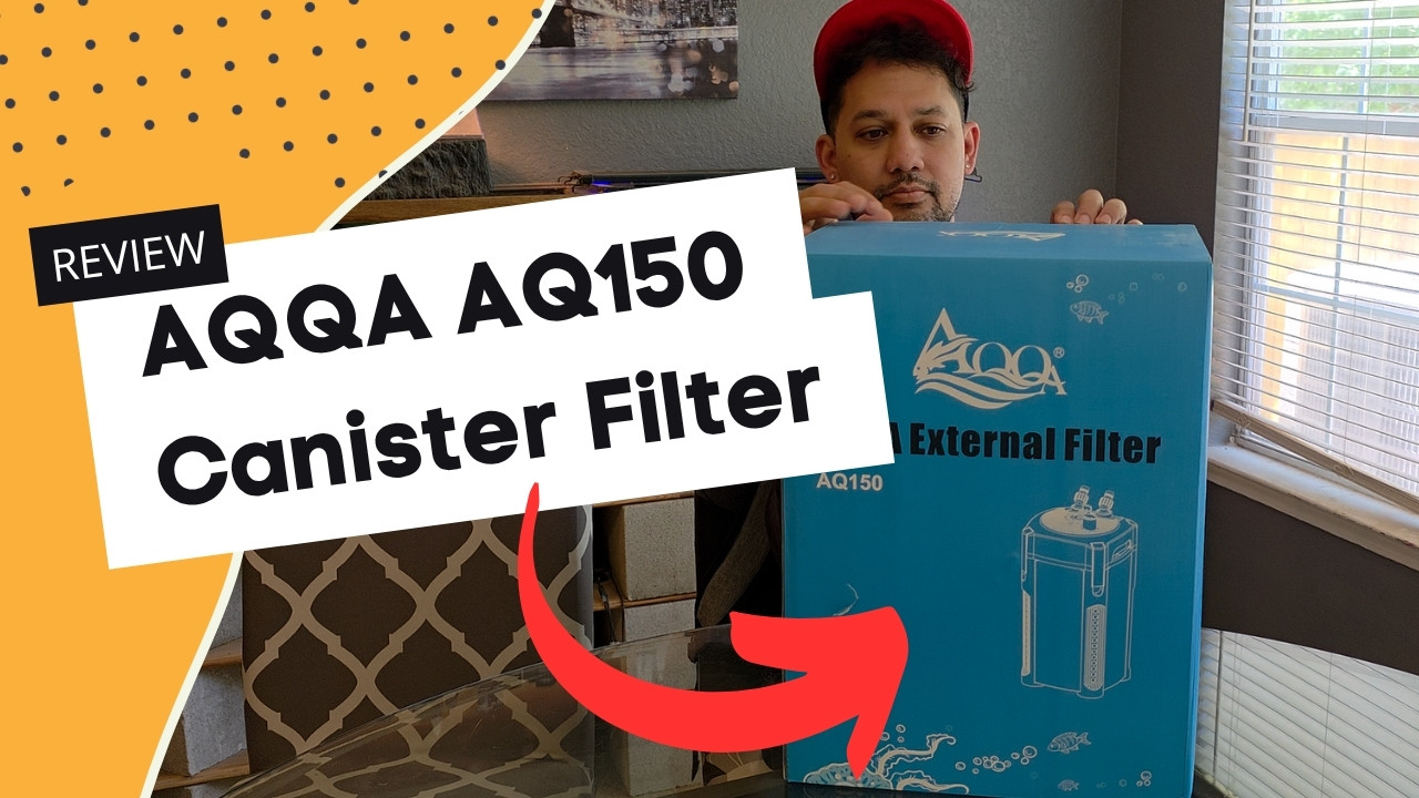 Watch Unboxing & Testing The Aqqa Canister Filter on Amazon Live