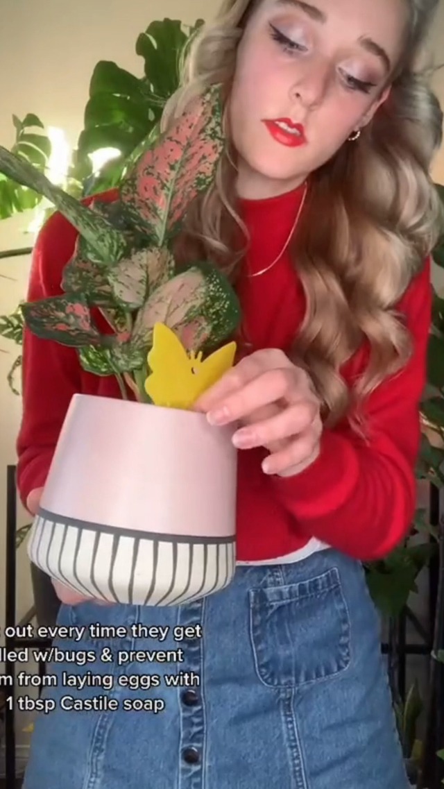 Watch How to keep plants alive like a hot girl ;﹚ on Amazon Live