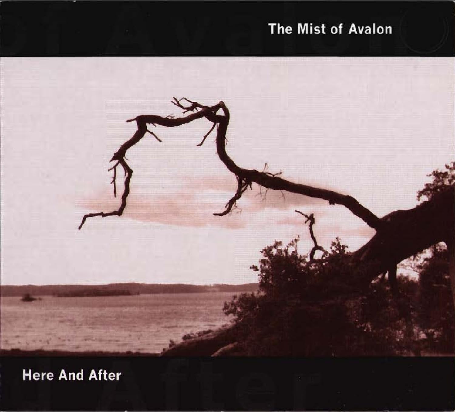 Here & After - Amazon.com Music