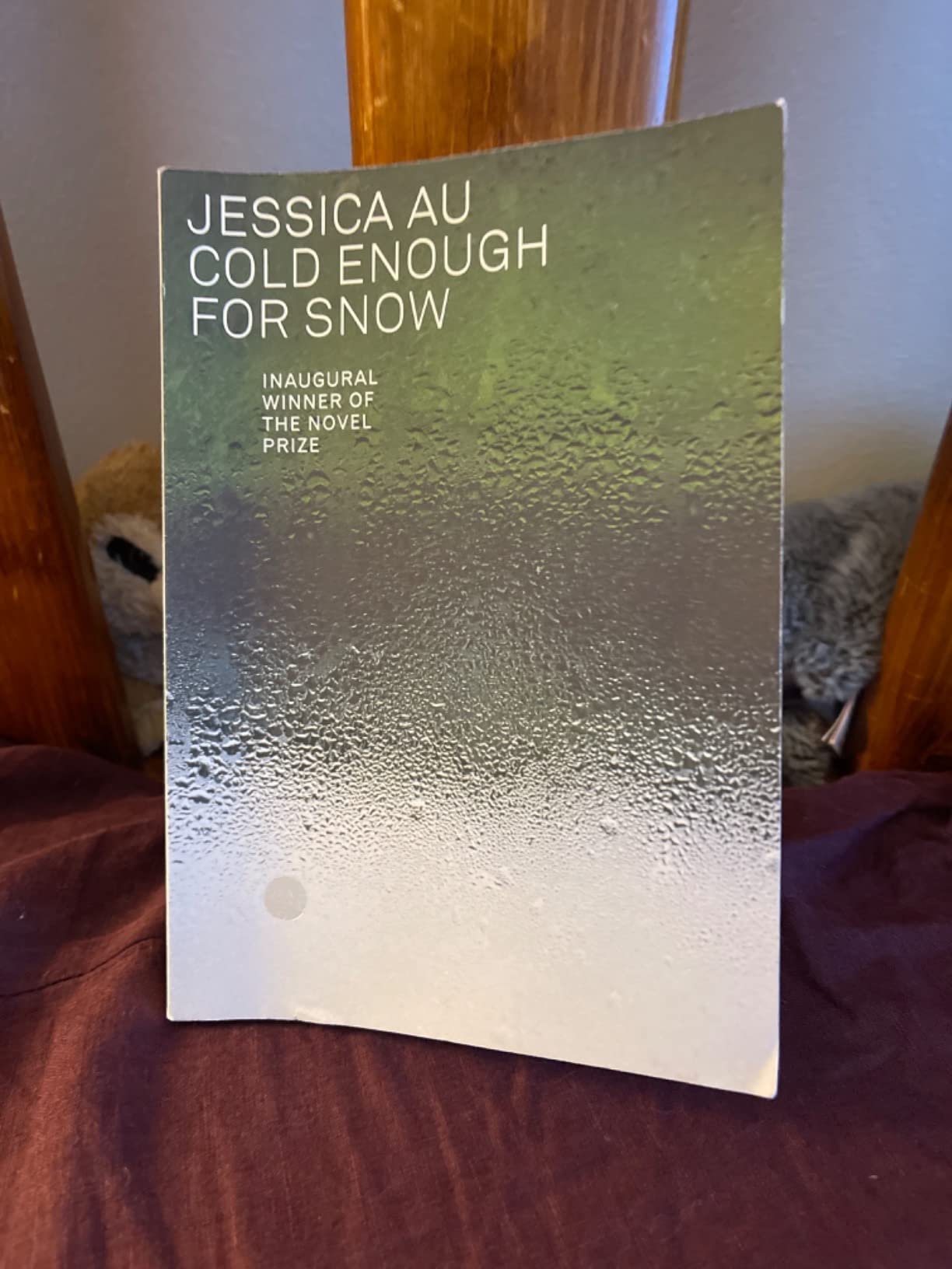 Cold Enough for Snow : Au, Jessica: Amazon.com.au: Books