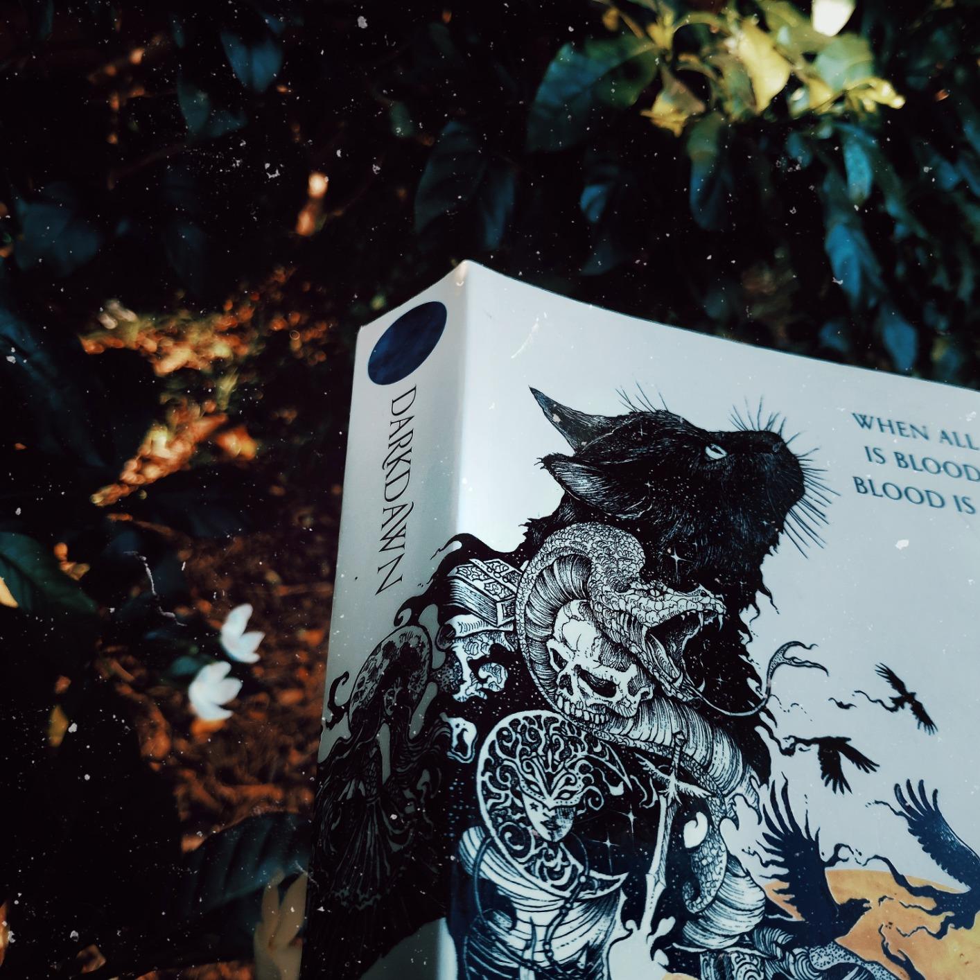 Darkdawn : The Nevernight Chronicle (3) : Jay Kristoff: Amazon.in: Books