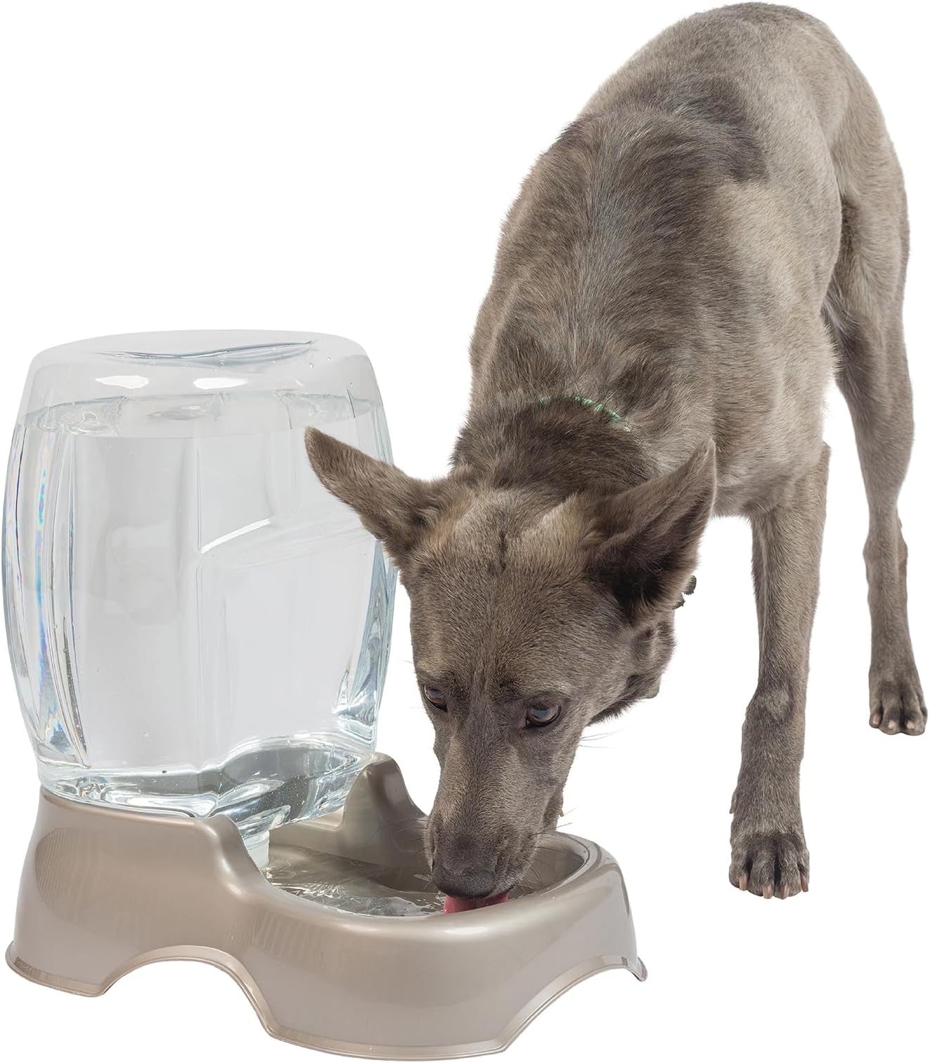 Pet Supplies : Automatic Dog Water Bowl Dispenser - Staltwo Premium Pet ...