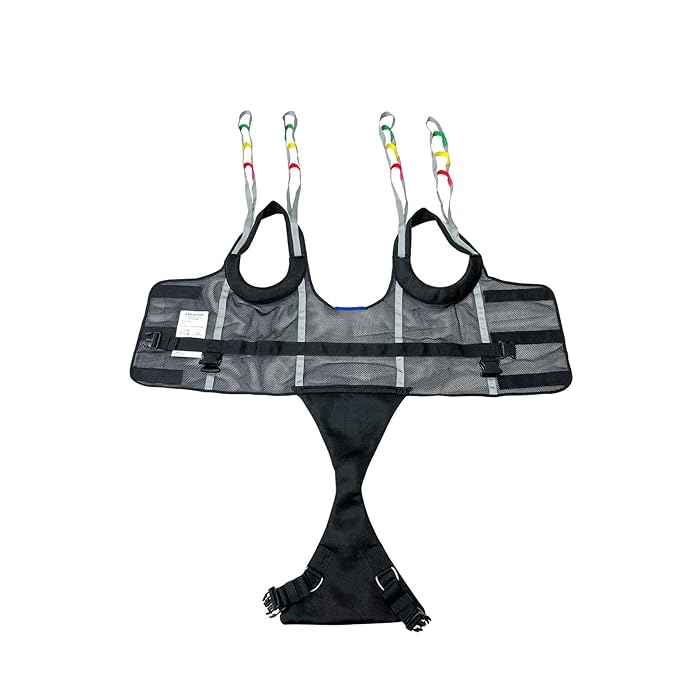 Buy Ehucon Comfort Padded Patient Lift Walking Sling,500lbs Safety ...