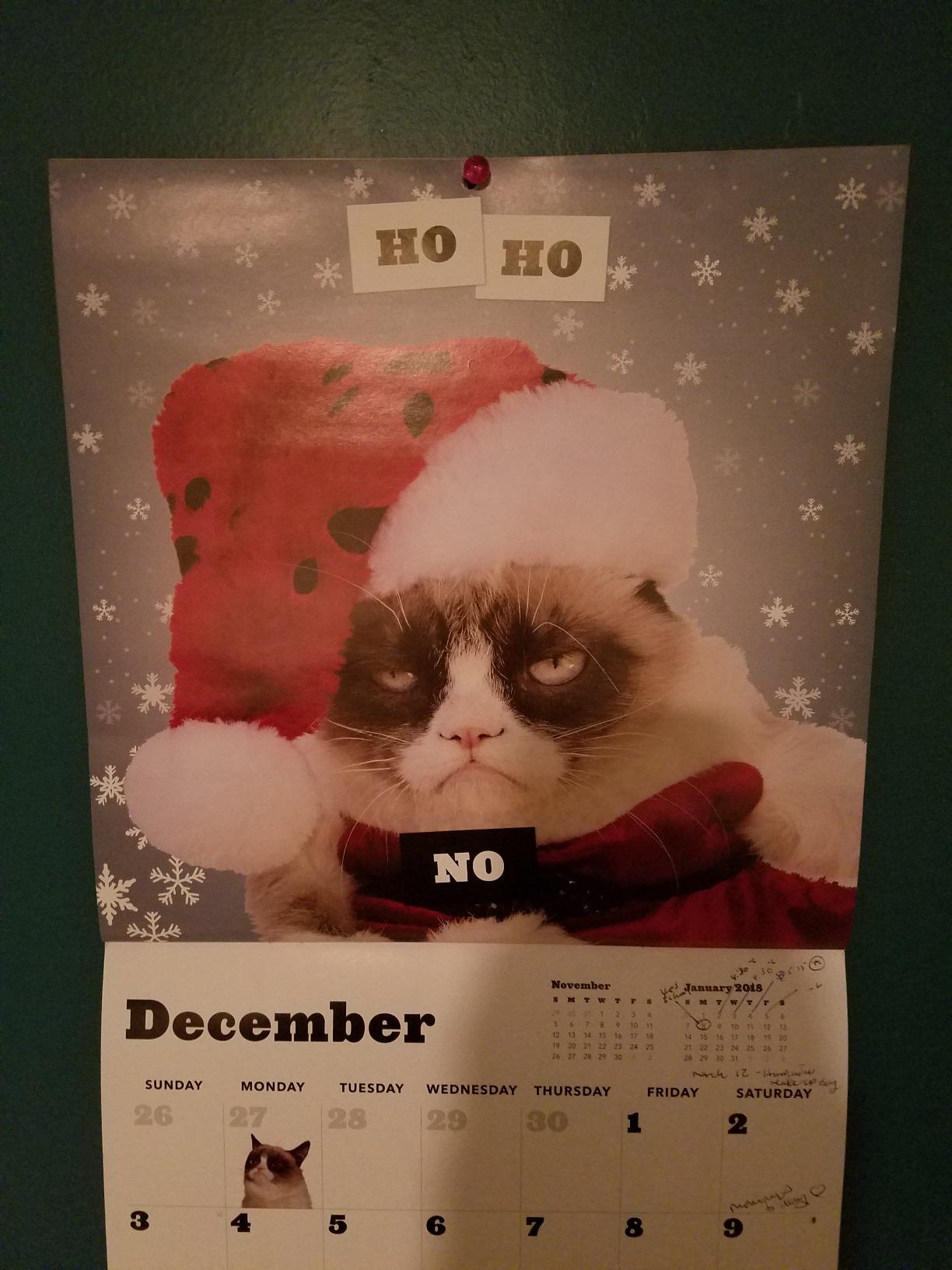 Grumpy Cat 2017 Wall Calendar: Grumpy Cat: 9781452145464: Amazon.com: Books