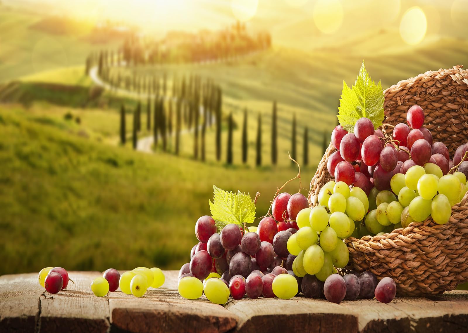 Italian Backdrop For Party 9x6ft Italy Vineyard Backdrop - Tuscany ...