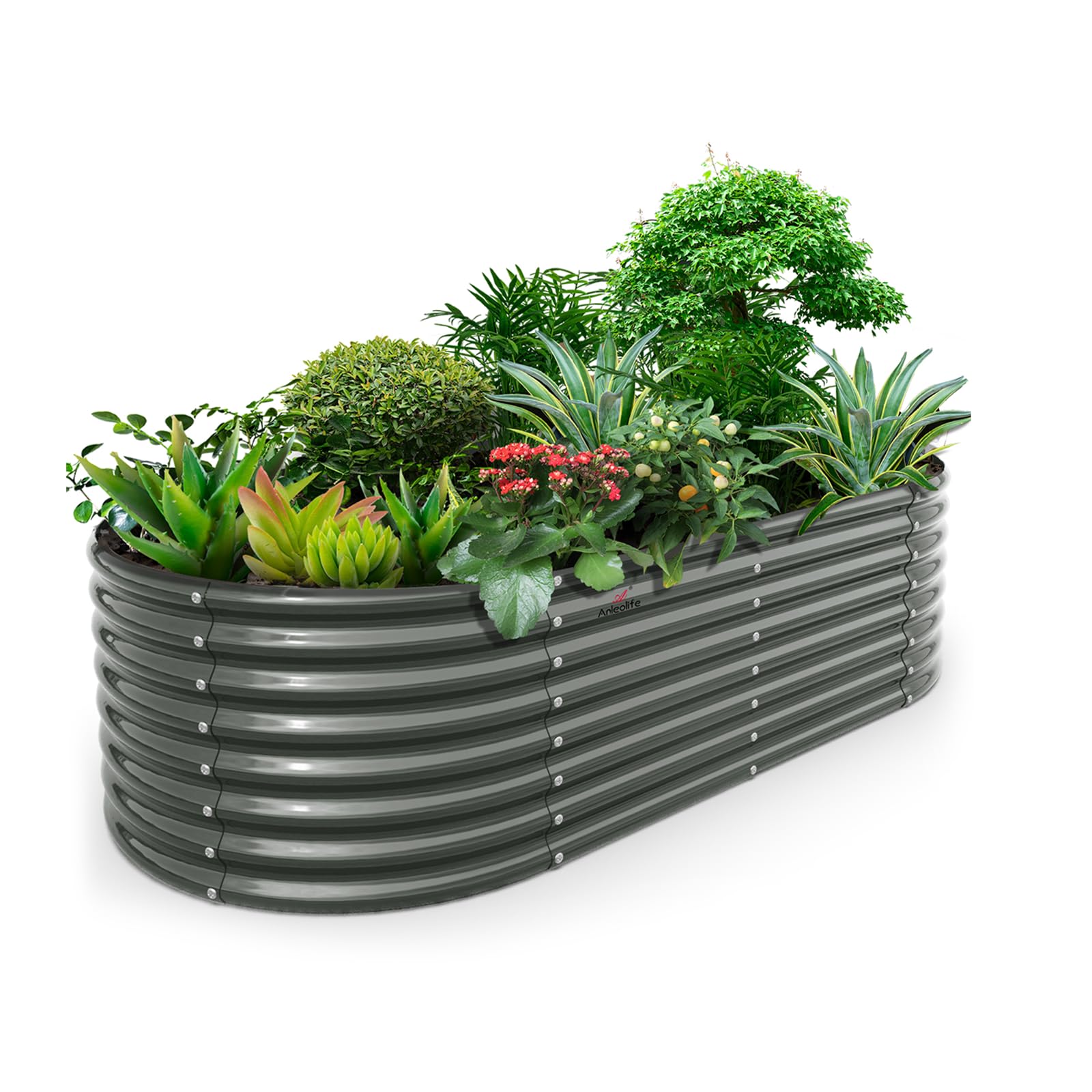 7 Best Containers For Gardening | 8x4ft Beds for Deep Roots