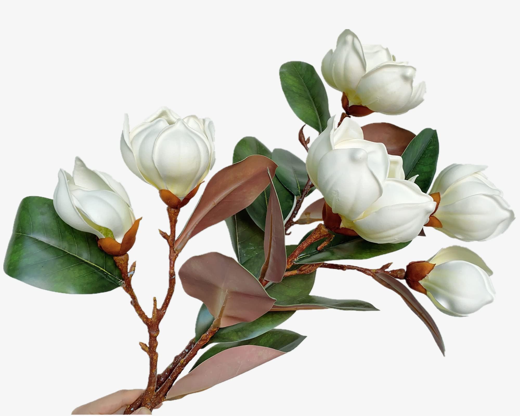 Amazon.com: Yunlly 3 Pcs Artificial Magnolia Flower Long Stem Magnolia Bouquet Faux Magnolia ...