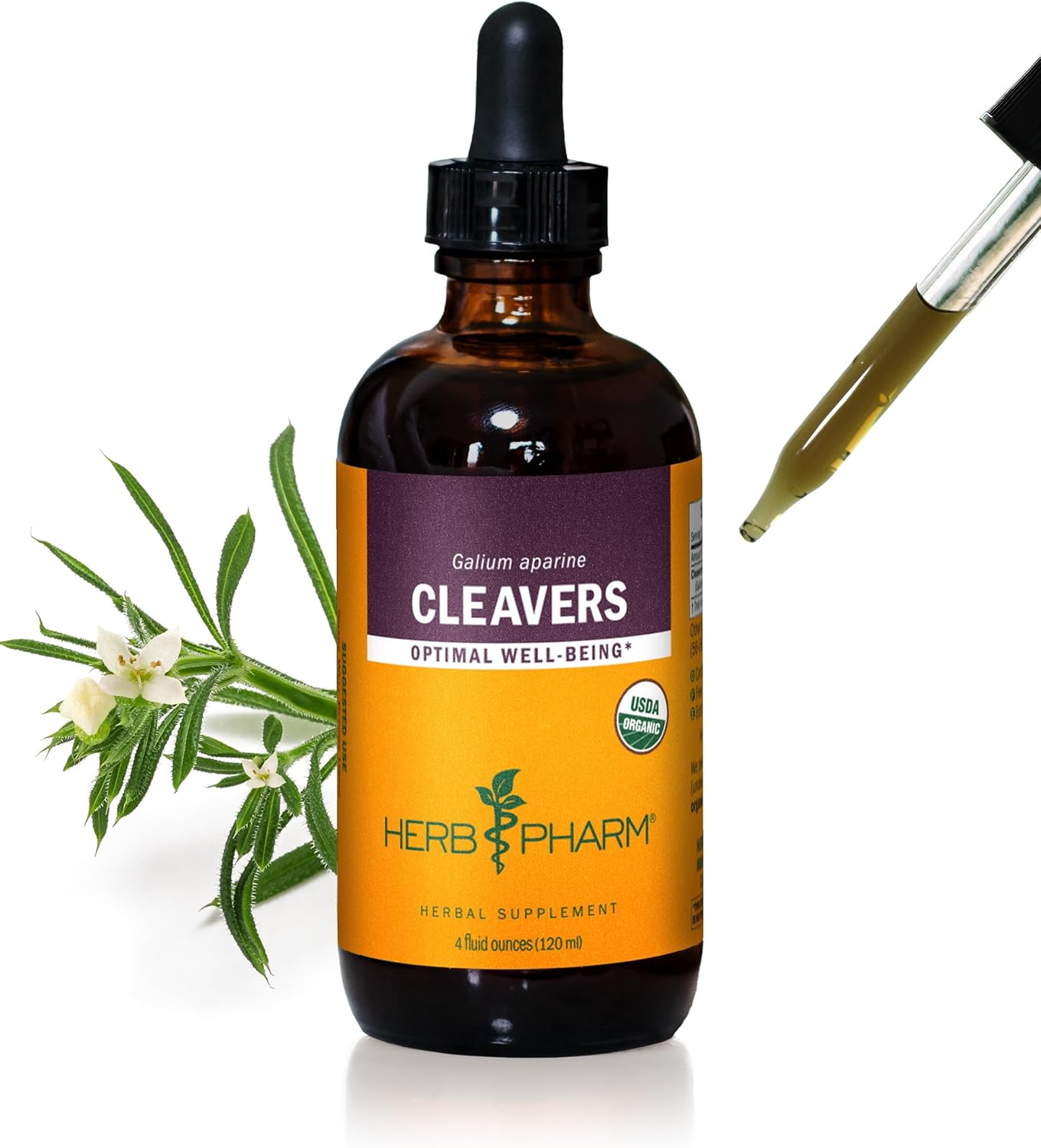 Amazon.com: Herb Pharm Cleavers Liquid Extract - 4 Ounce : Health ...