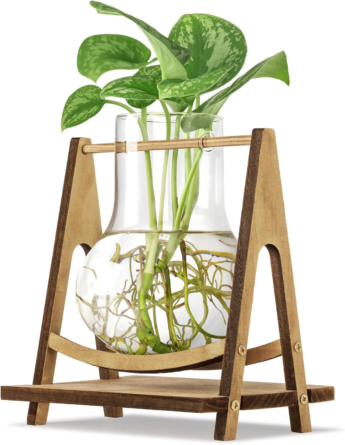 Amazon.com: Monoture Plant Propagation Station,Air Plant Terrarium with ...