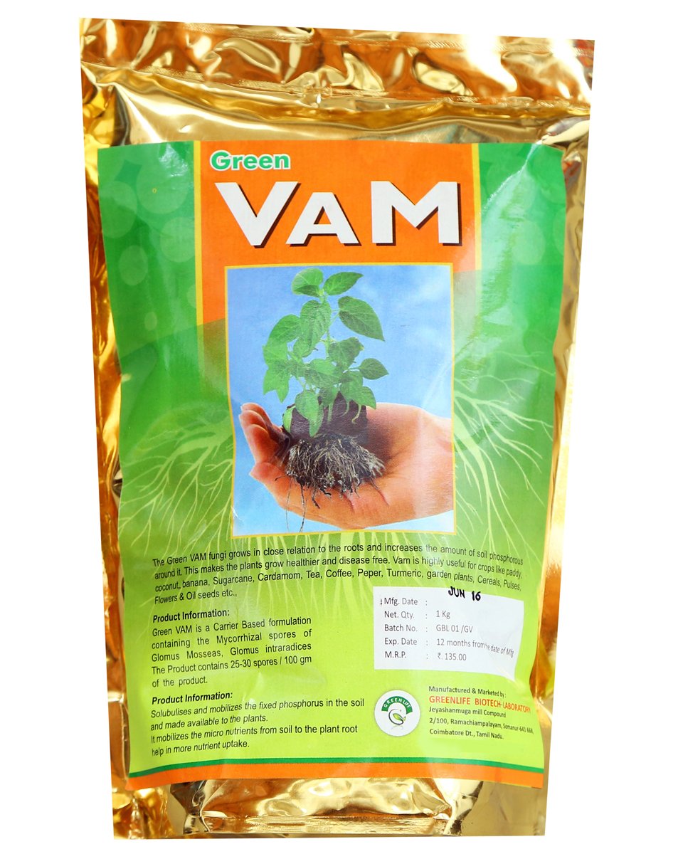 Green VAM - Bio Fertilizer - Vesicular Arbuscular Mycorrhizae ...