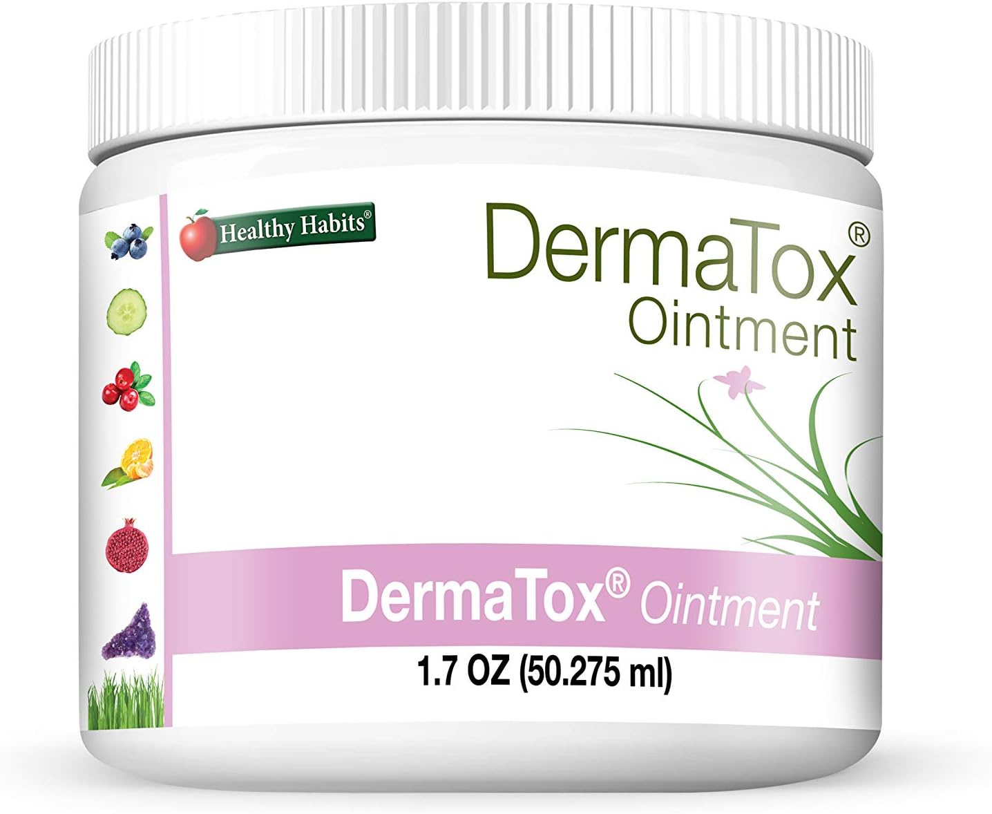 Amazon.com: Healthy Habits DermaTox Ointment - Best All Natural, All ...