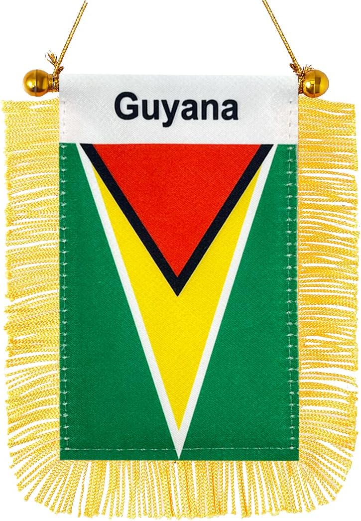 Amazon.com : SoKoot Guyana Window Hanging Flag Mini Small Guyanese Car ...