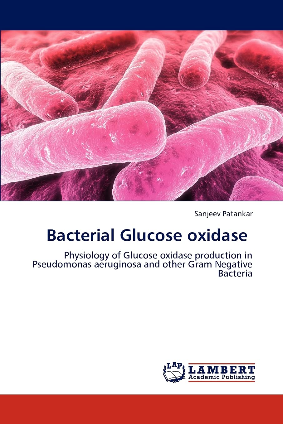 Bacterial Glucose Oxidase Physiology Of Glucose Oxidase Production In ...