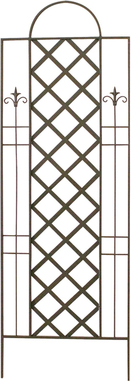 Amazon.com : Panacea 89663 Cottage Style Trellis, 78" X 24", Black ...