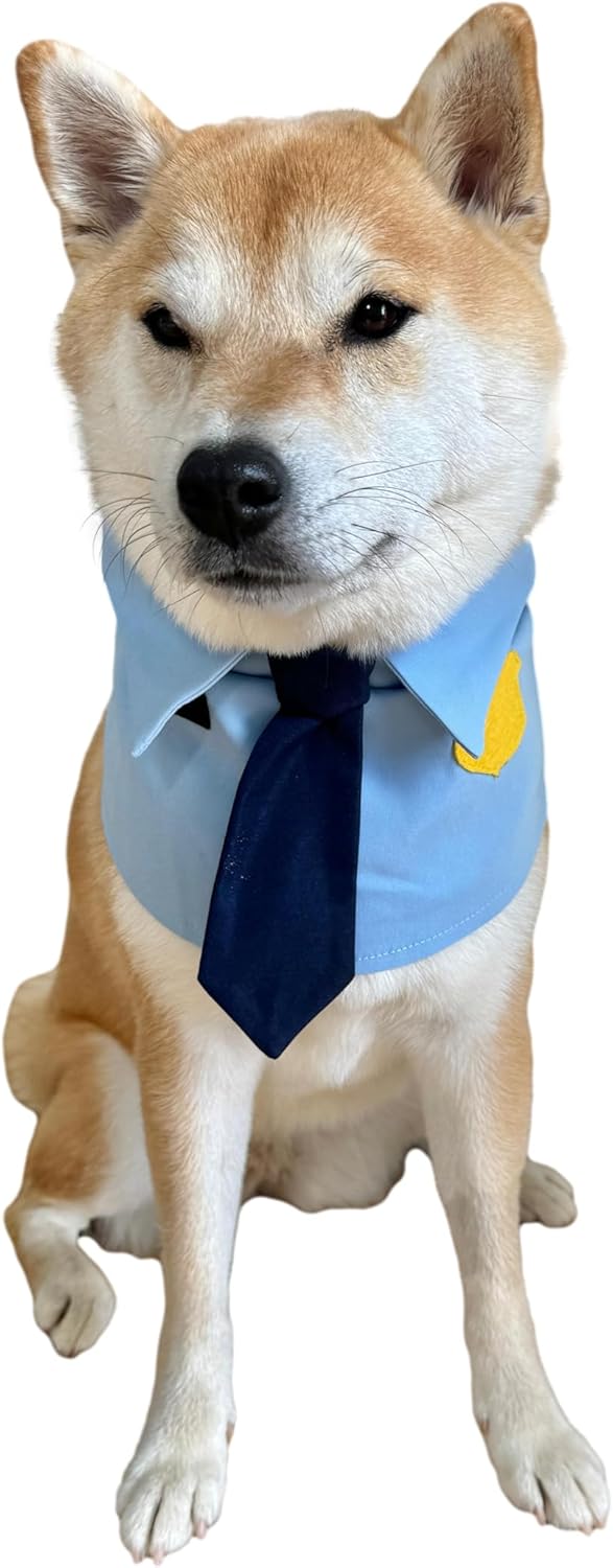 Amazon.com : ComfyCamper Dog Police Collar Costume - Small Medium Large ...