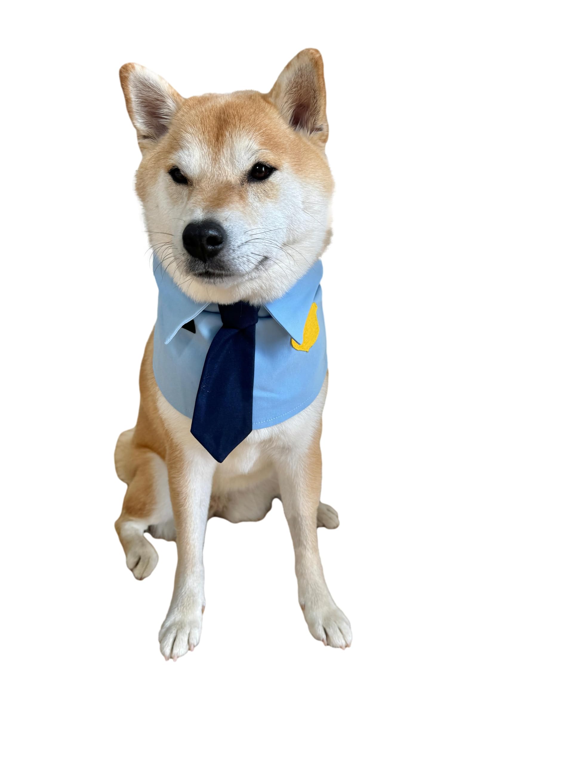 Amazon.com : ComfyCamper Dog Police Collar Costume - Small Medium Large ...