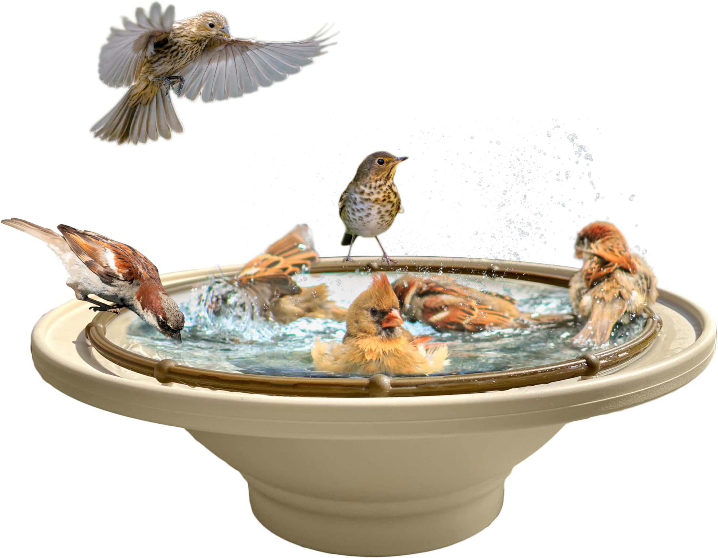 Amazon.com: Quackups Solar Bird Bath Bowl Bubbler for Hummingbirds and ...