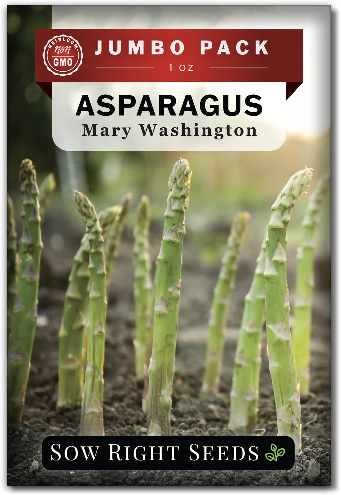 Amazon.com : Sow Right Seeds - Bulk Mary Washington Asparagus Seeds for ...