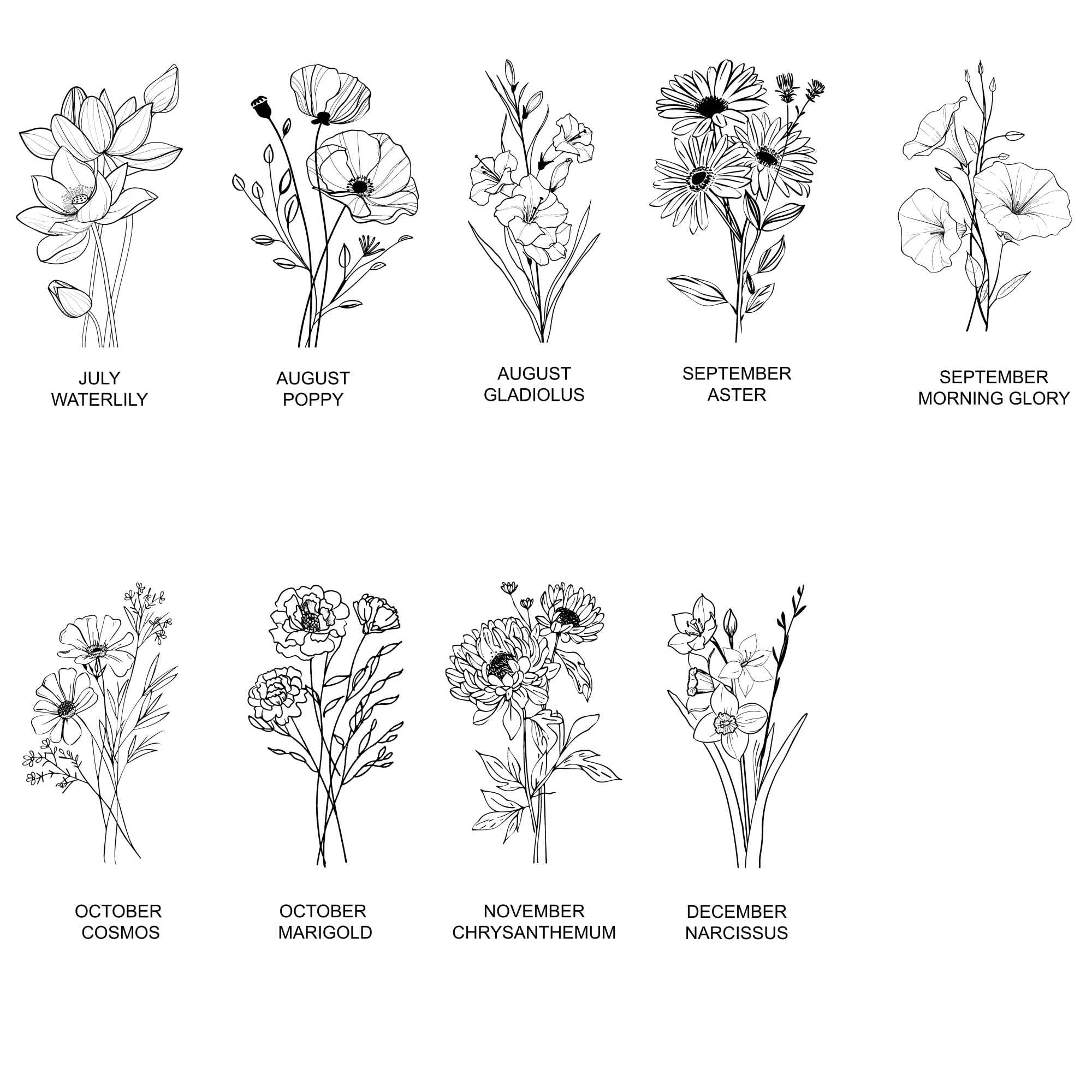 Snapklik.com : Thinkor 20 PCS Bookmark, Laminated Birth Flower Bookmark ...