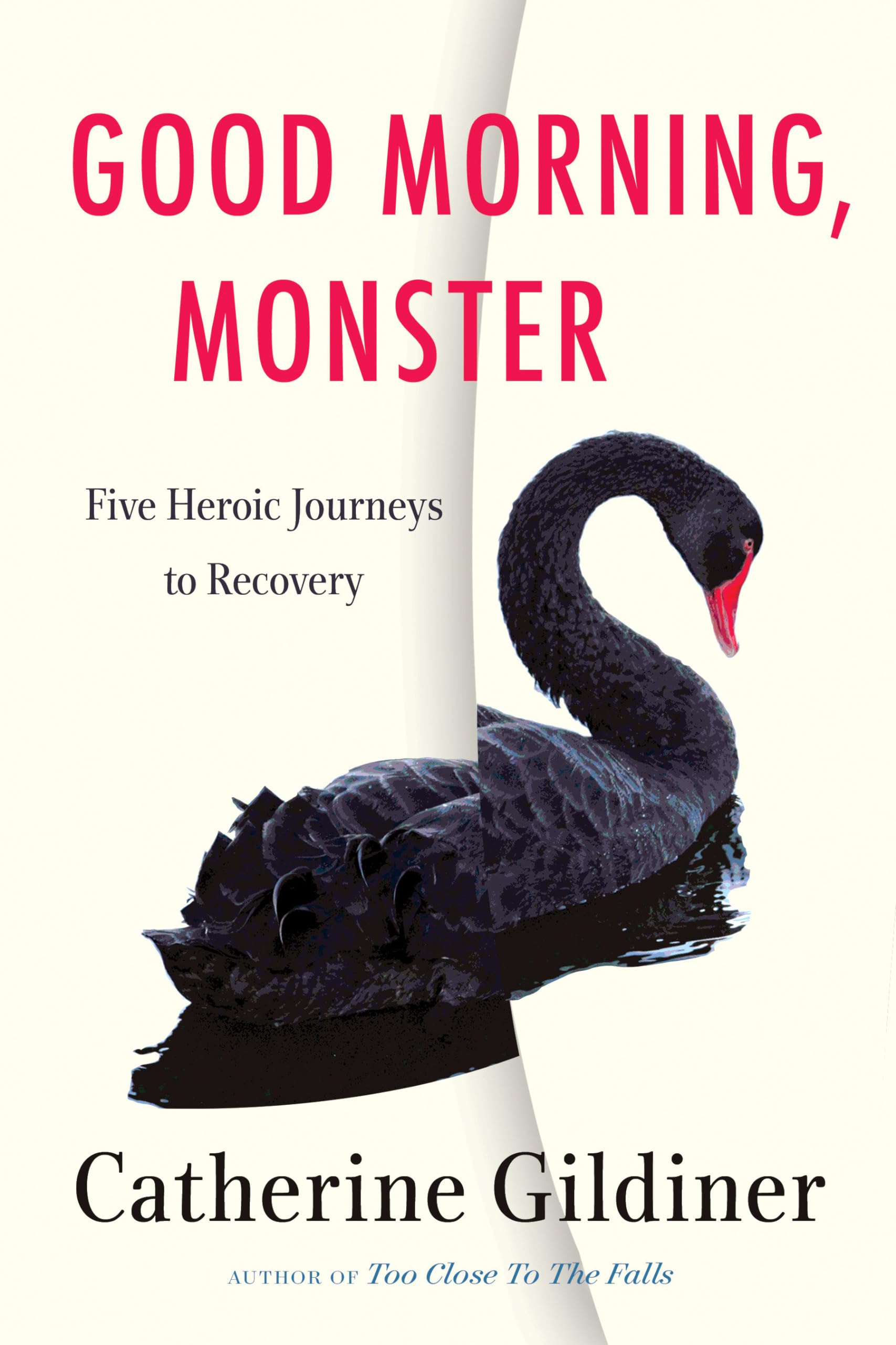 Good Morning, Monster: Five Heroic Journeys to Recovery: Gildiner ...