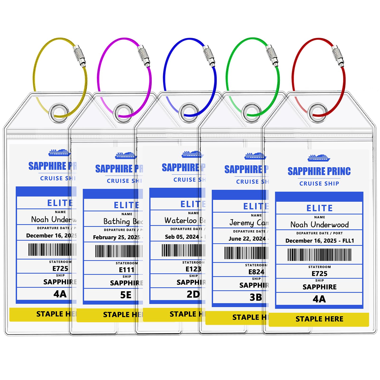 Amazon.com: Princess Cruise Ship Luggage Tag Holders, Clear Cruise ...