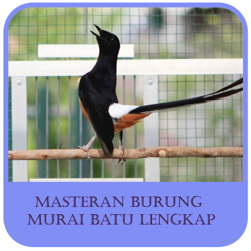 Chirping Bird Master murai stone - App on Amazon Appstore