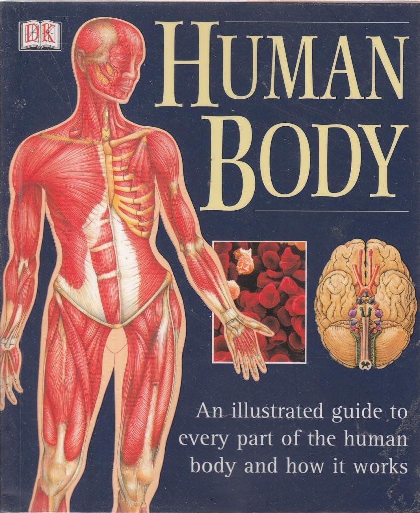 The Human Body: Martyn Page: 9780751335149: Amazon.com: Books