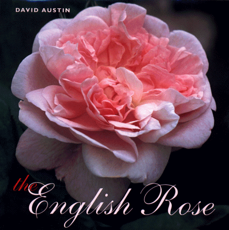 Buy The English Rose Book Online at Low Prices in India | The English ...