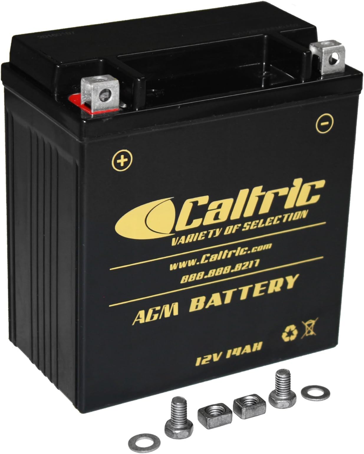 Amazon.com: Caltric Agm Battery Compatible with Suzuki Lta500F Lt-A500F ...
