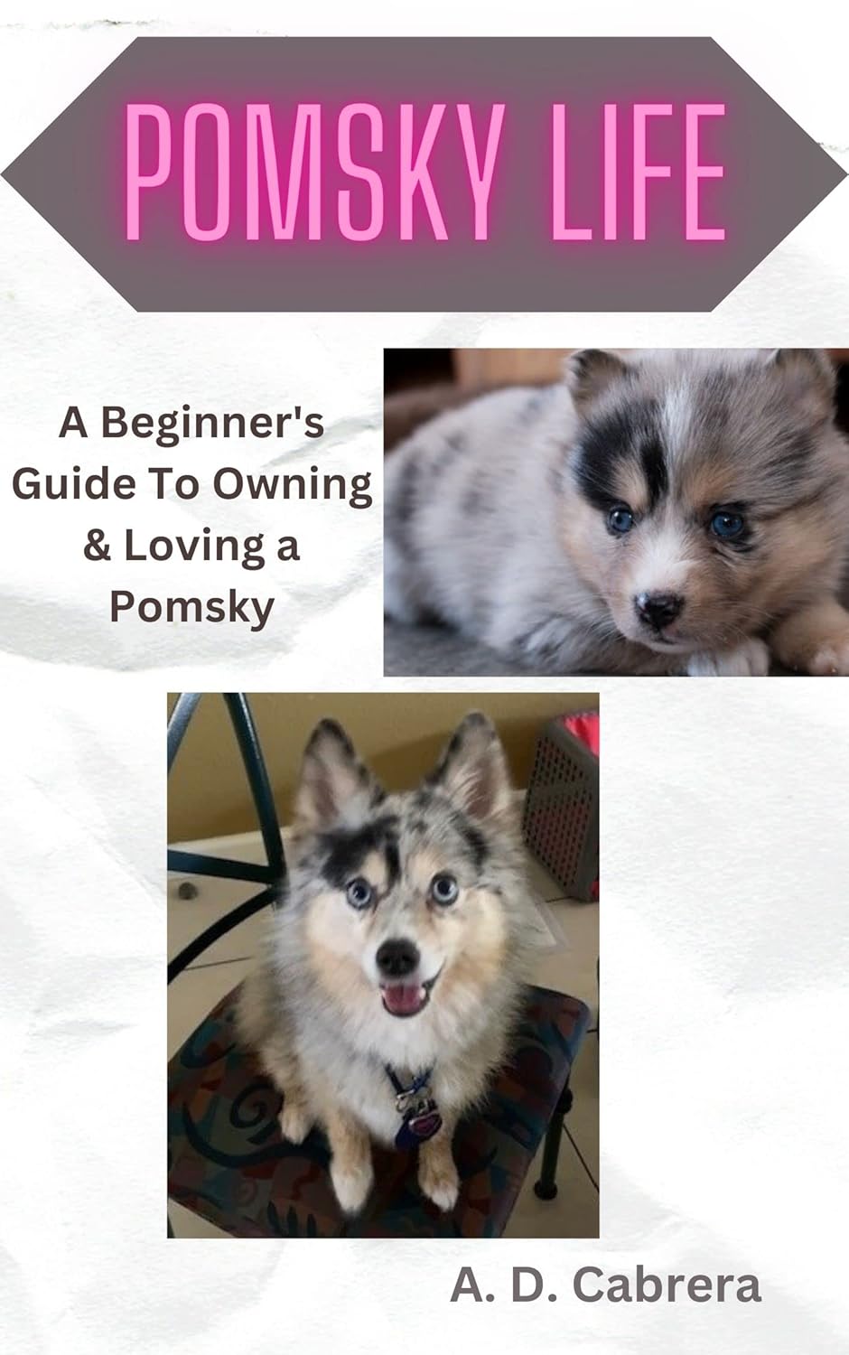 Amazon.com: Pomsky Life: A Beginner's Guide to Owning & Loving a Pomsky ...