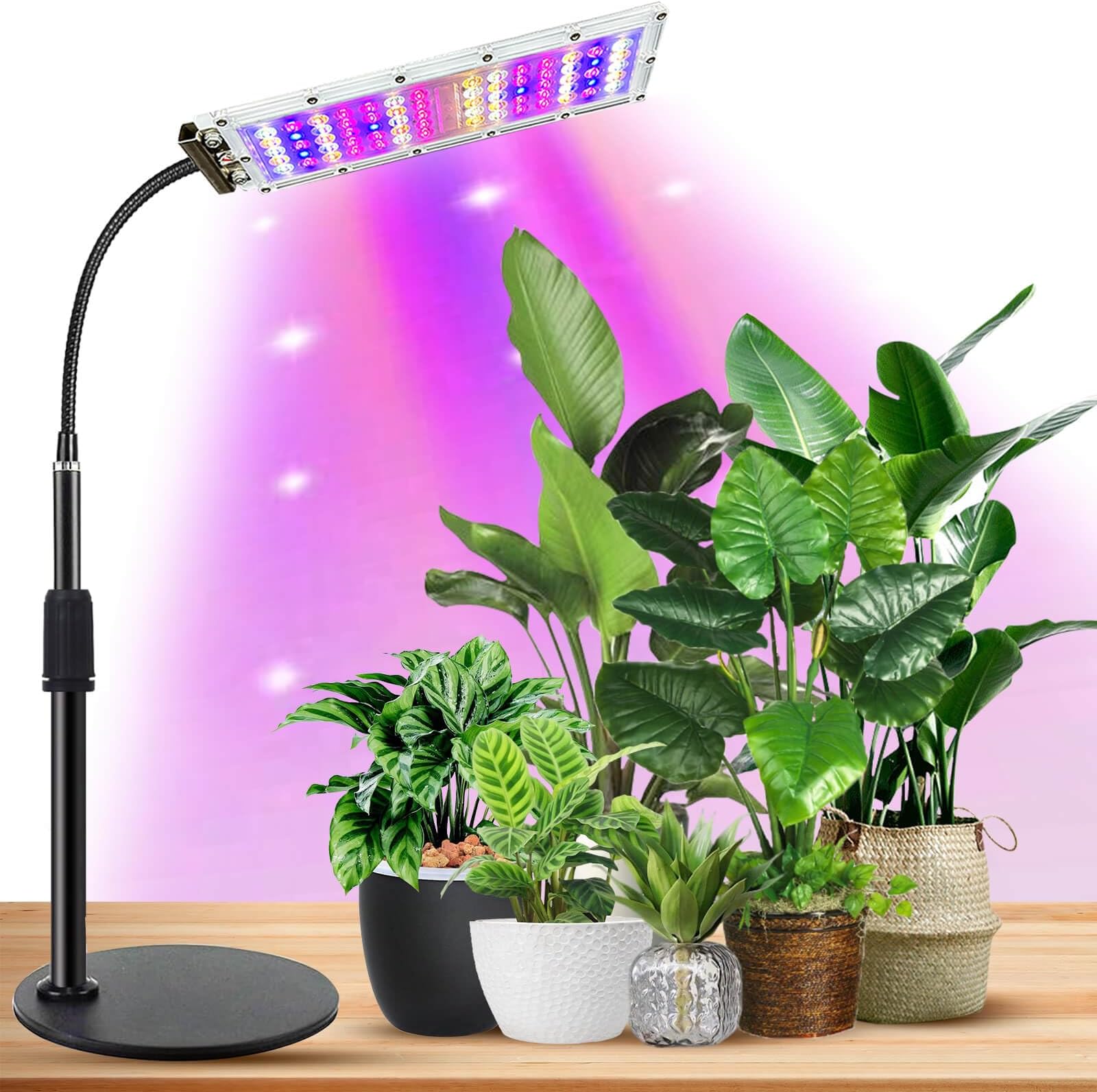 Amazon.com: YVMOOEC Grow Light for Indoor Plants with 6" Base Full ...