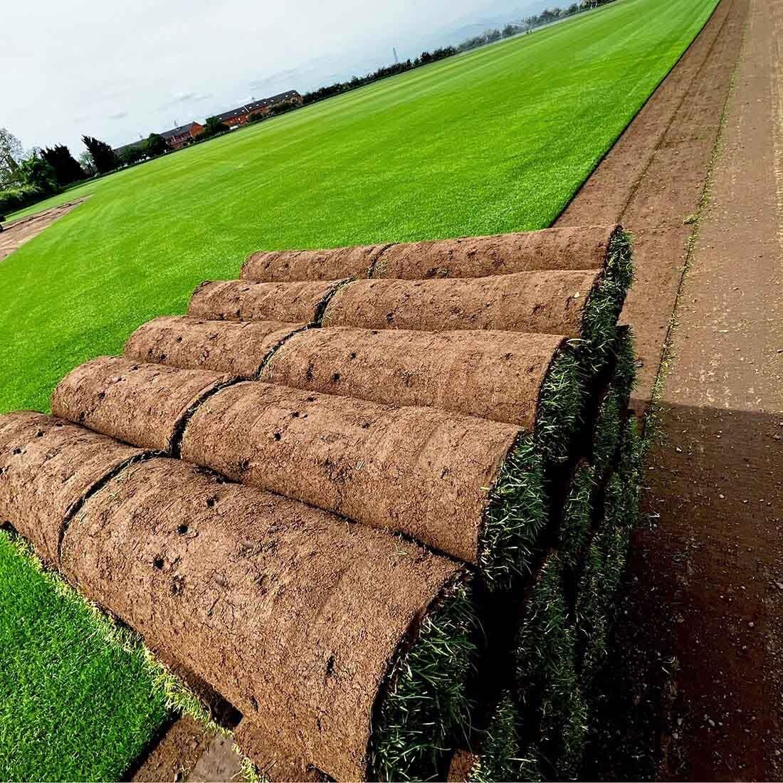 Turf - Premium Garden Lawn Turf Delivered Fresh (20) : Amazon.co.uk: Garden