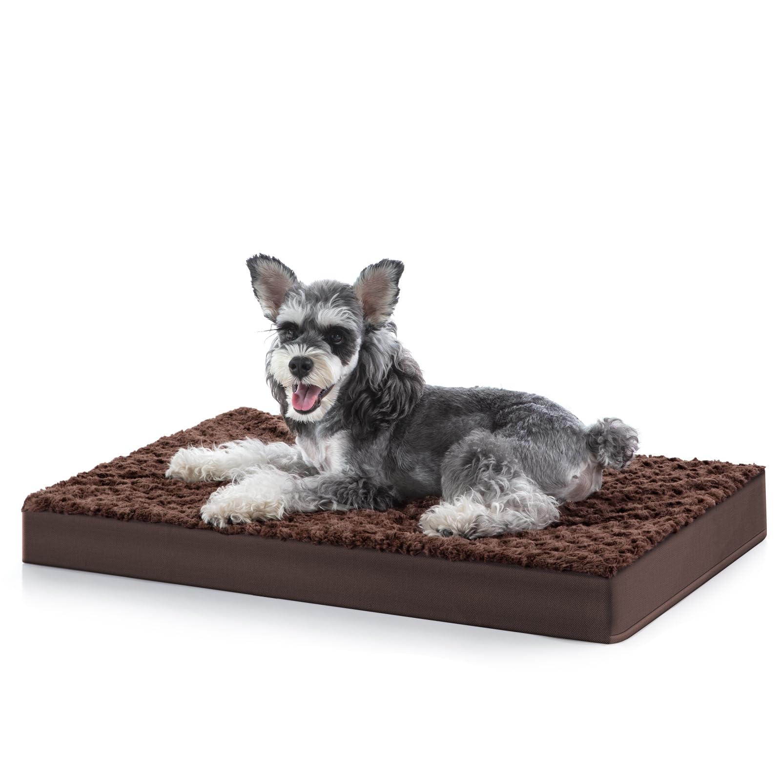 JOEJOY Orthopedic Dog Bed for Medium Small Dogs, Egg-Crate Foam Dog Bed ...