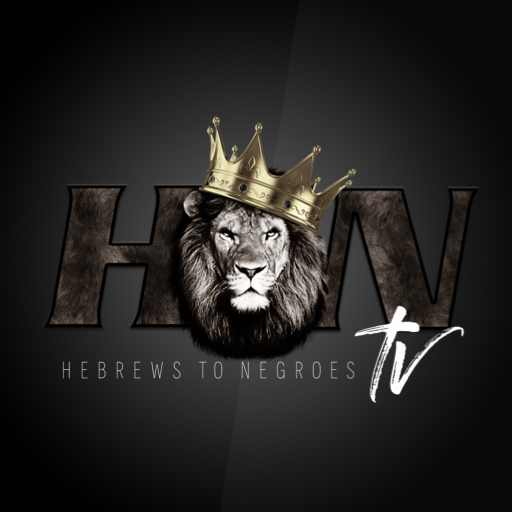 H2N TV - App on Amazon Appstore