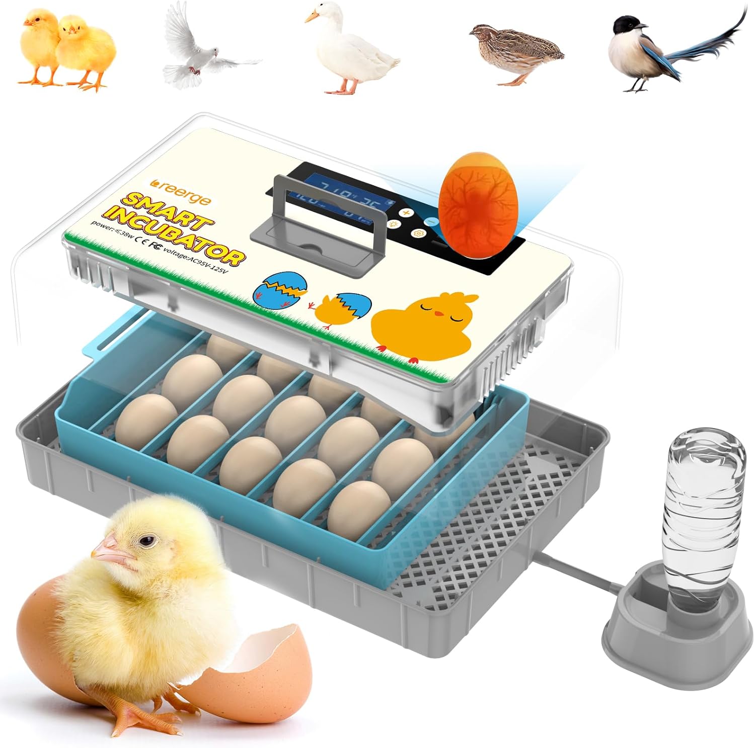 Amazon.com: 15 Egg Incubators for Hatching Eggs, Egg Candler, Automatic Egg Turner, for Hatching ...