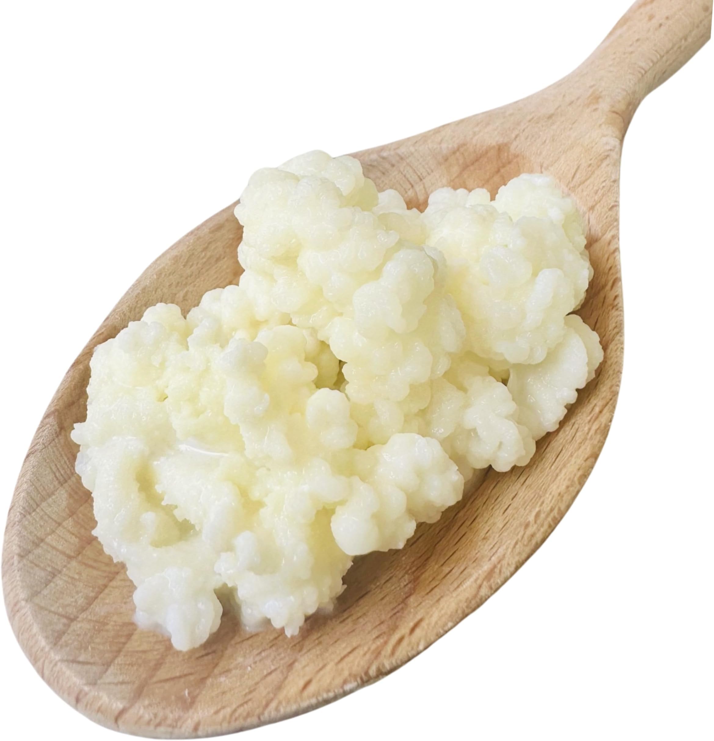 Amazon.com: Milk Kefir Grains Starter, Bulgaros de Leche, Pajaritos de ...