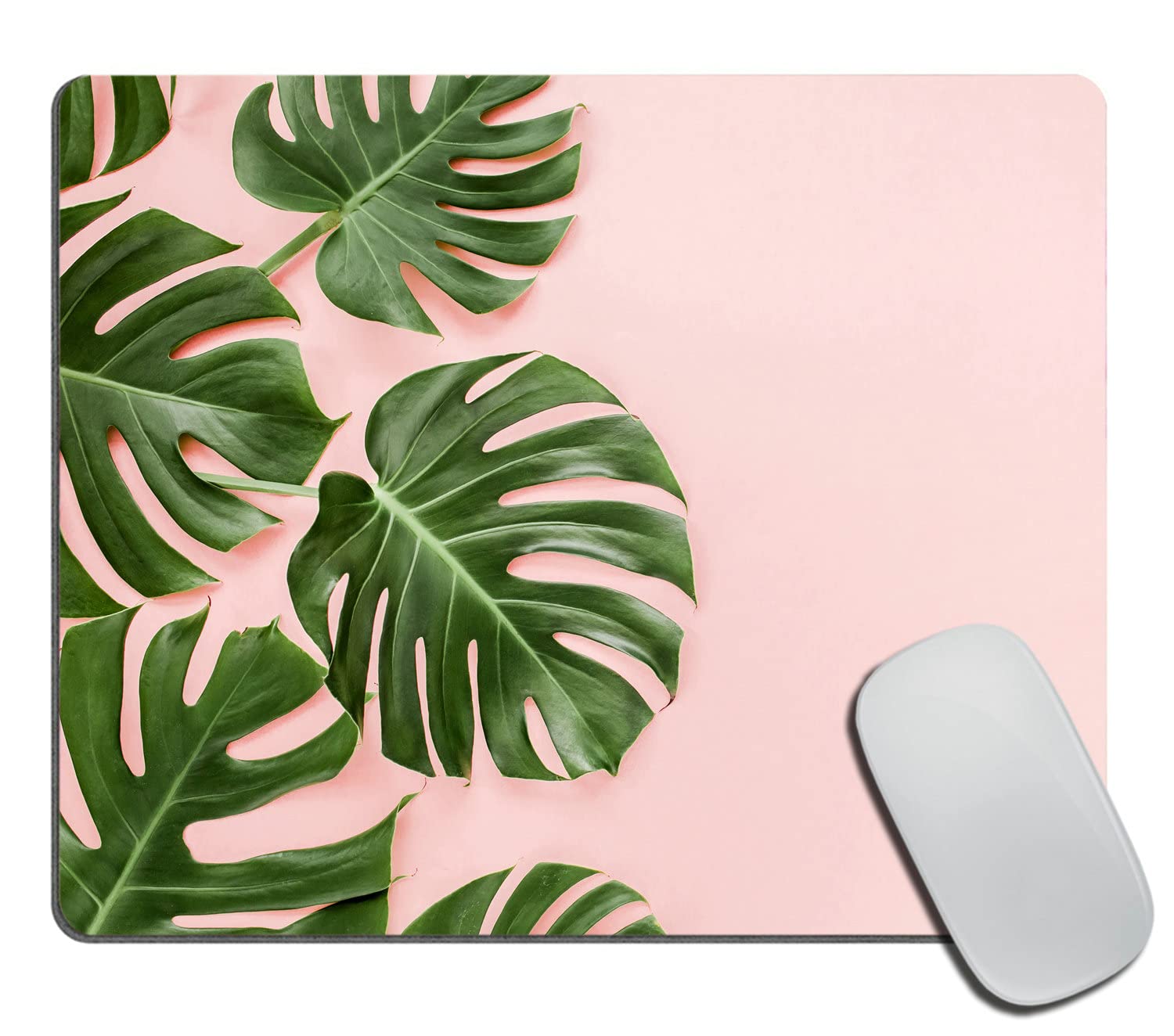 Background Pictures For Computer Tropical