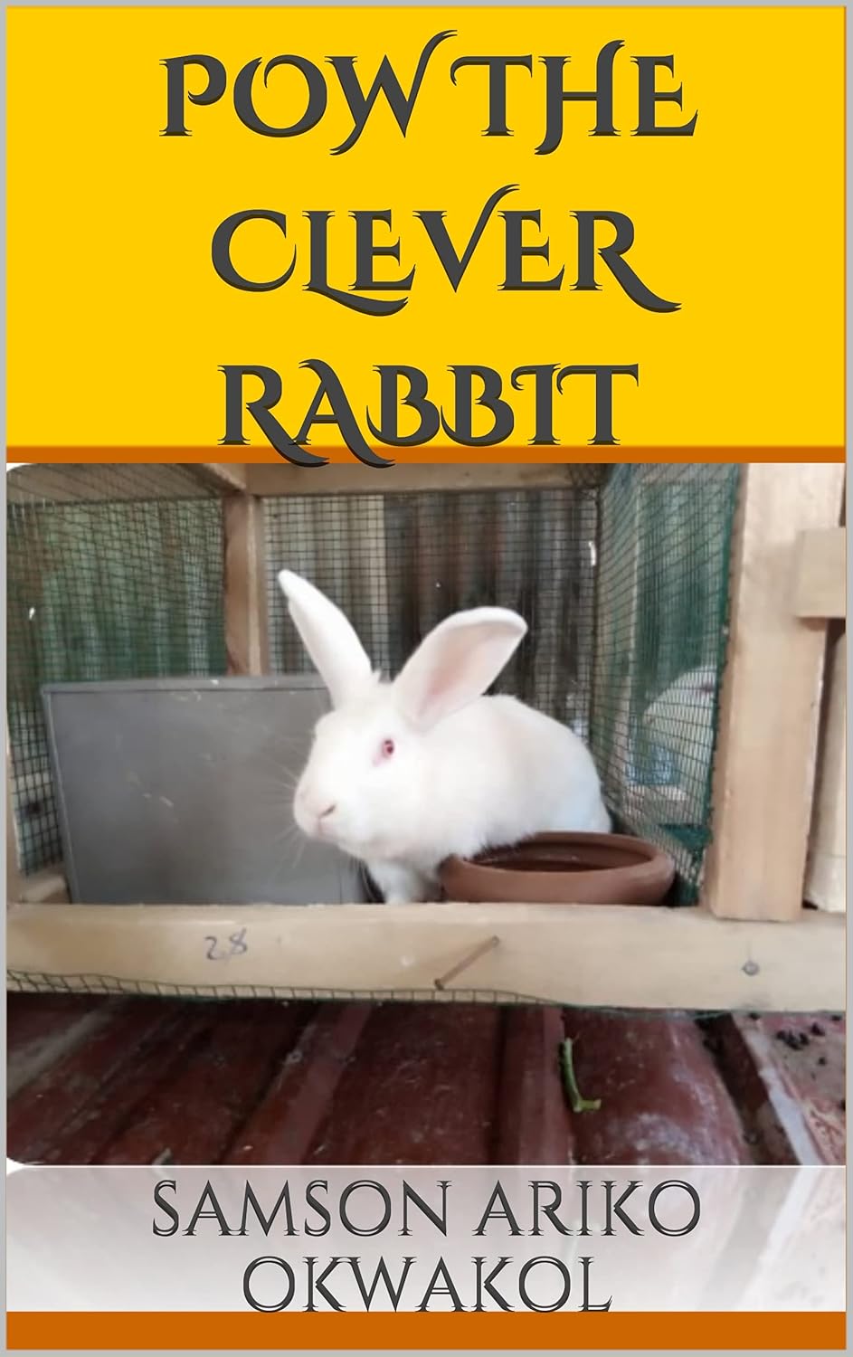 Amazon.com: POW THE CLEVER RABBIT eBook : Ariko Okwakol, Samson: Kindle ...