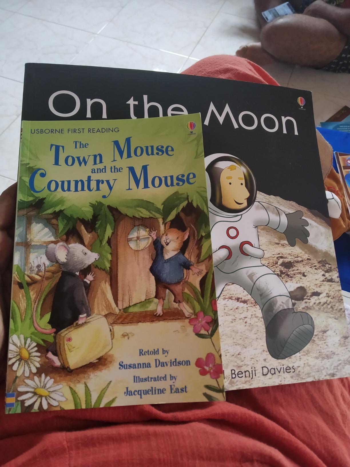 Buy TOWN MOUSE COUNTRY MOUSE (FR4) Book Online at Low Prices in India ...