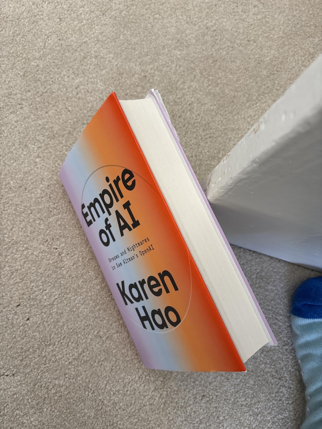 Empire of AI: Inside the reckless race for total domination : Hao ...