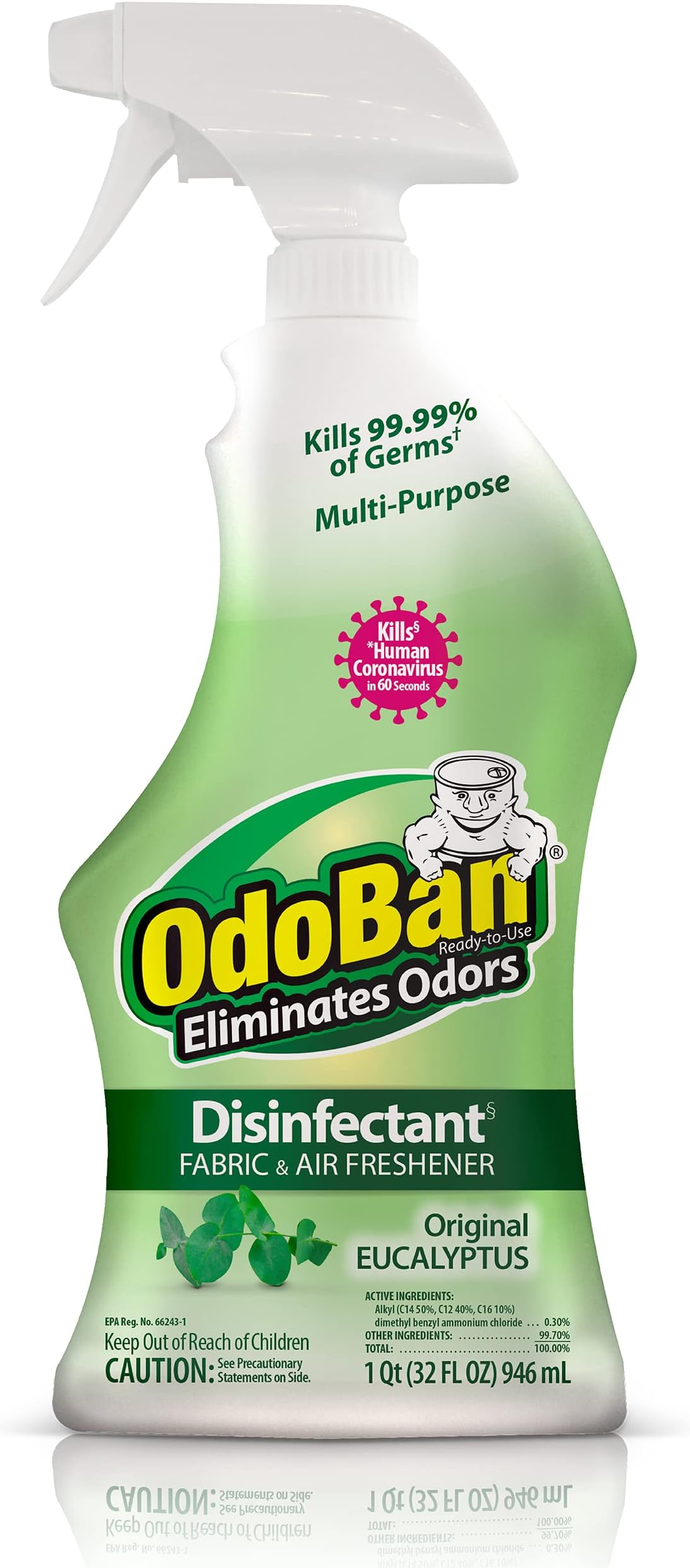 CLEAN CONTROL CORPORATION - Odoban 32OZEuca Cleaner : Amazon.ca: Health ...