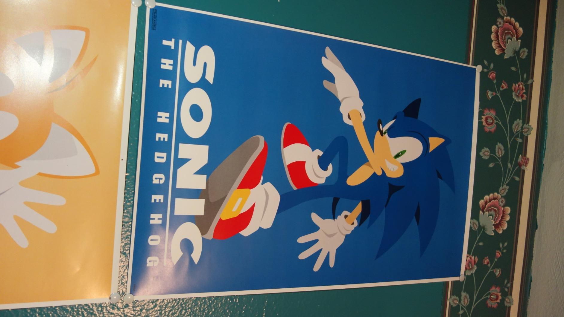 Amazon.com: Sonic the Hedgehog Character Sega Video Game Gaming Cool ...