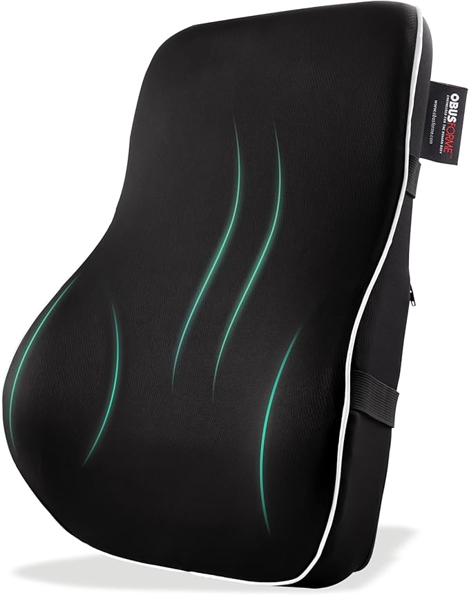 ObusForme Memory-Foam Lumbar Pillow Back Cushion – Dual-Strap Support ...